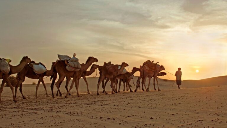 Prophet Hijrah - IslamOnline