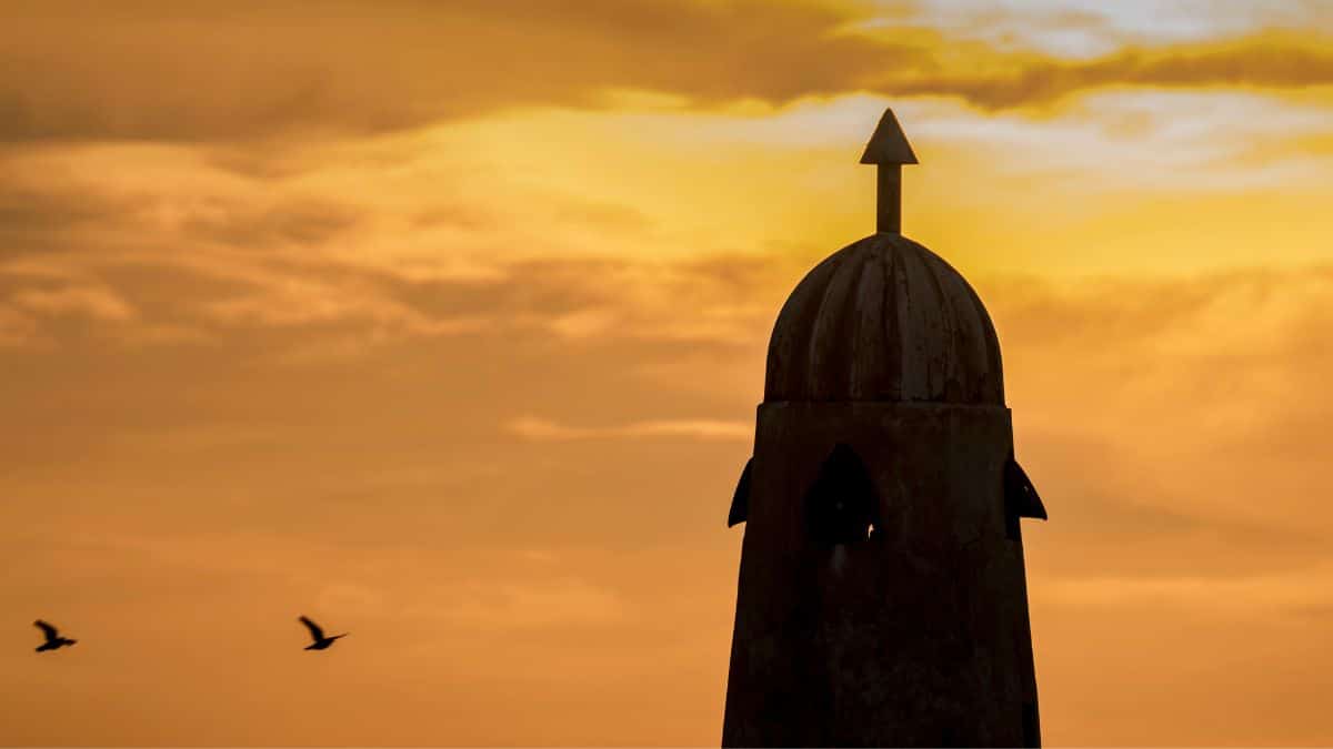 The Way of Allah - IslamOnline