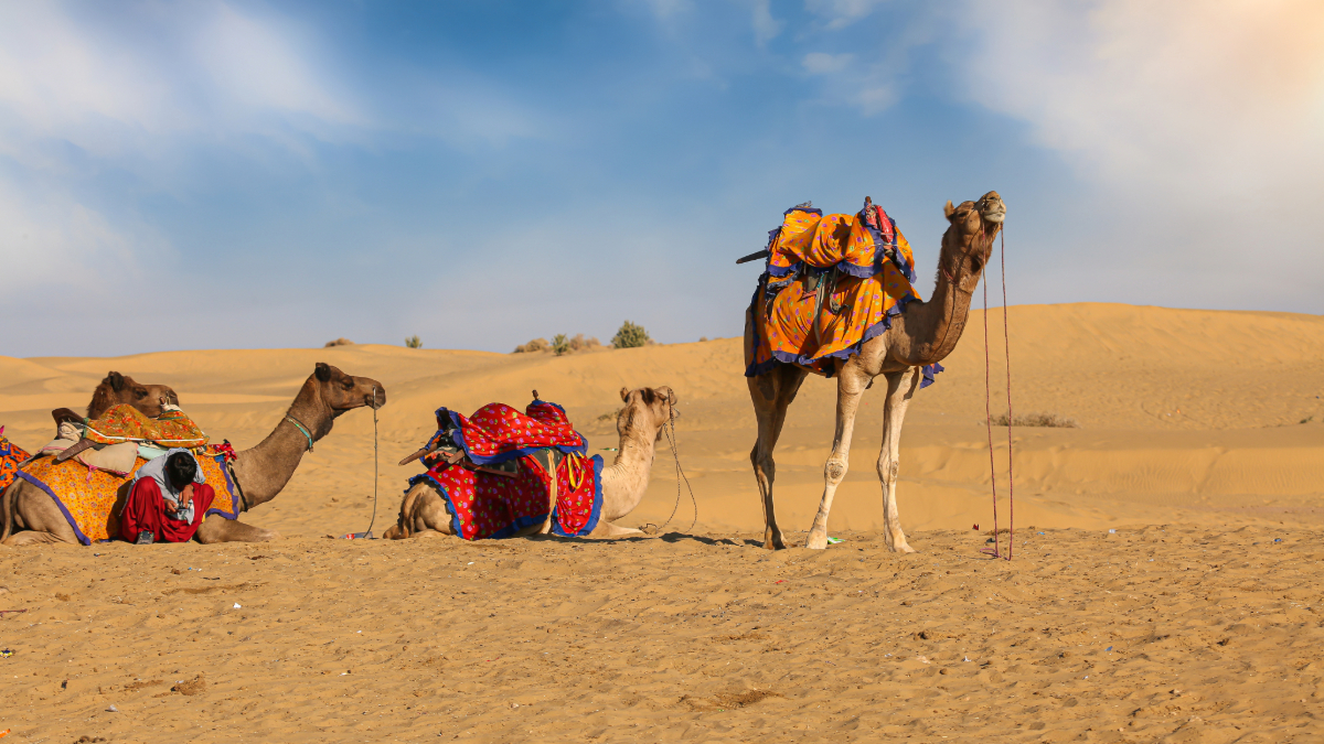 The Daws Tribe and Prophet Muhammad's ﷺ Prayer: "O Allah, Guide Daws ...